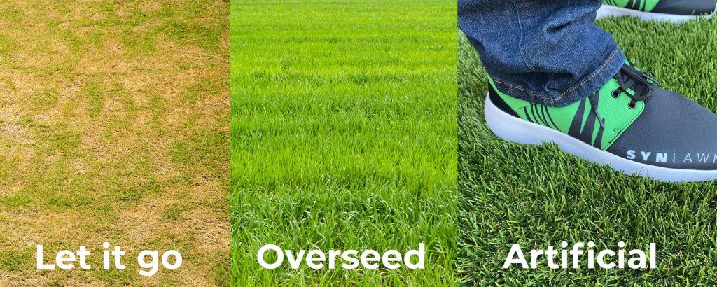 Overseeding? Try Artificial Grass - Paradise Greens